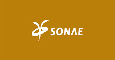 Investor Presentations - Financial Information - Investors - Sonae
