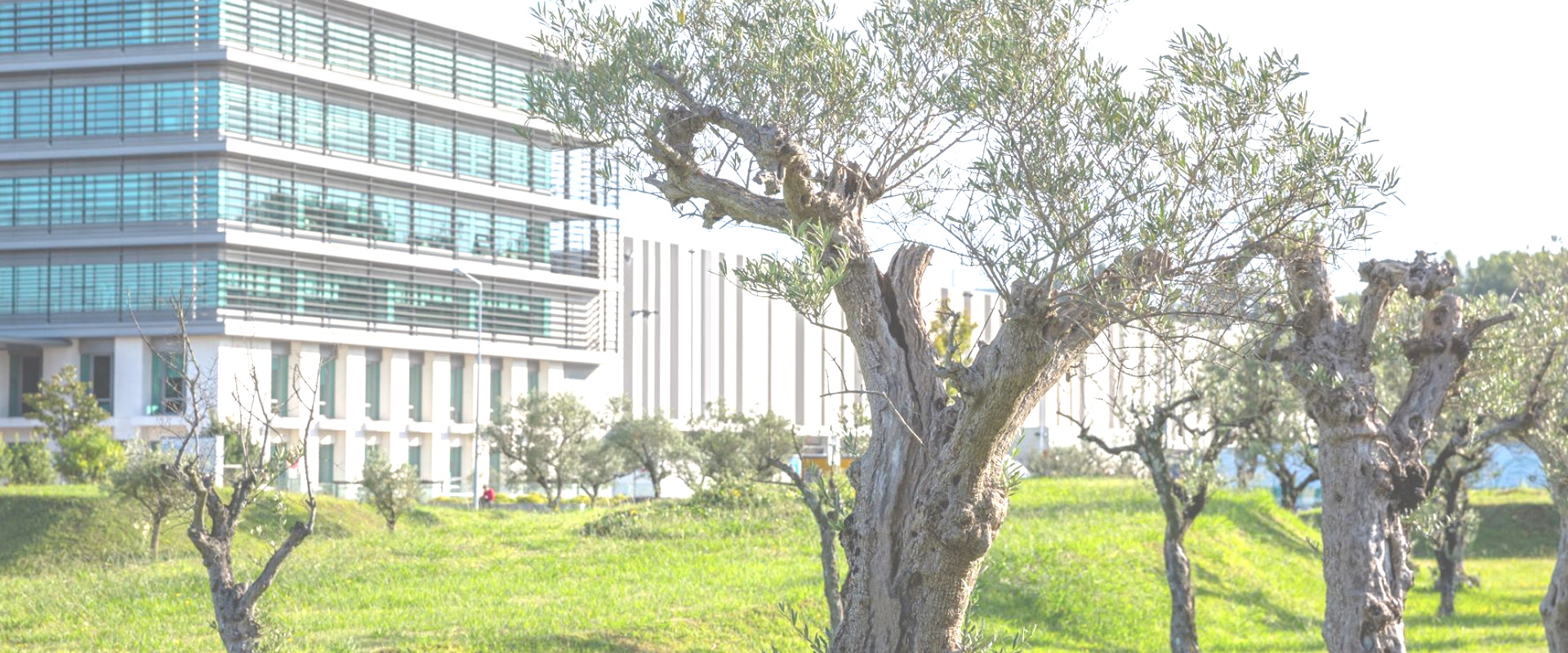 SONAE | Shaping Tomorrow, Today - Sonae