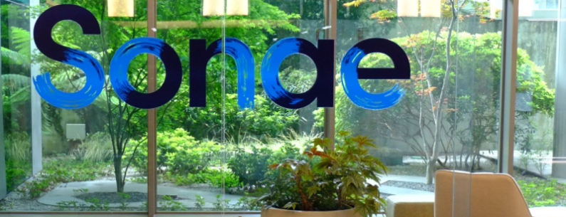 Working at Sonae - People