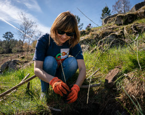 Press Releases - Media - Sonae